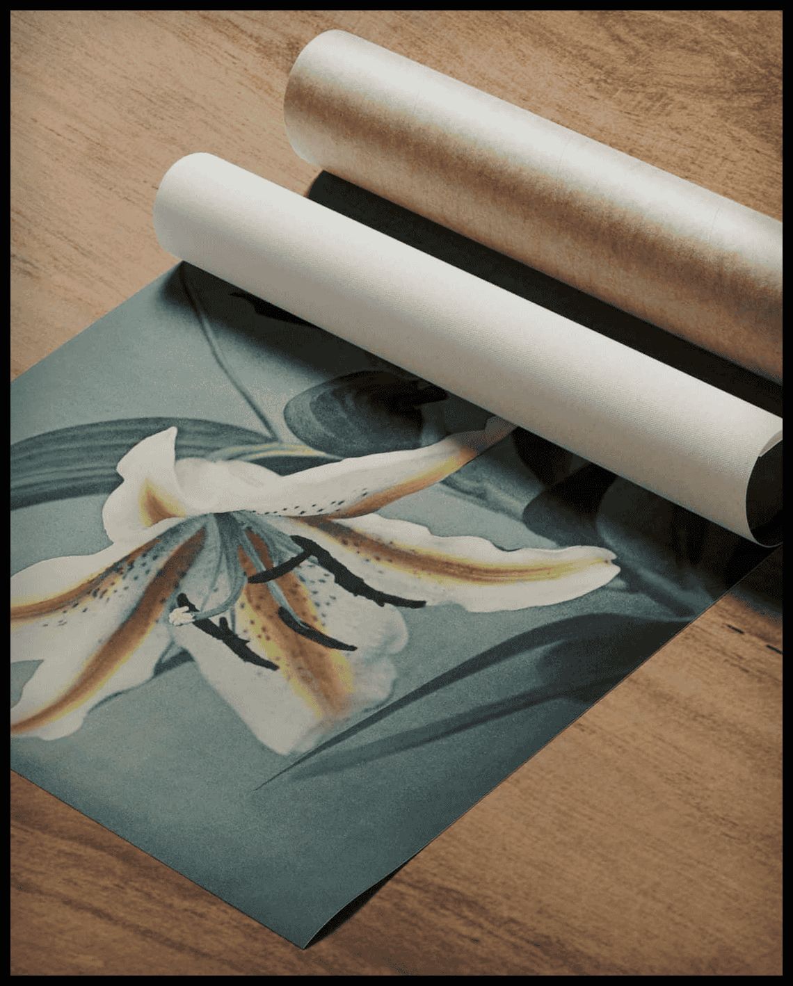 Kazumasa Ogawa Poster - White Lily – Betterposter